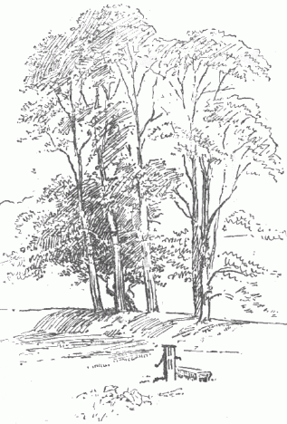 The Saga of the Steventon Parsonage – Jane Austen in Vermont