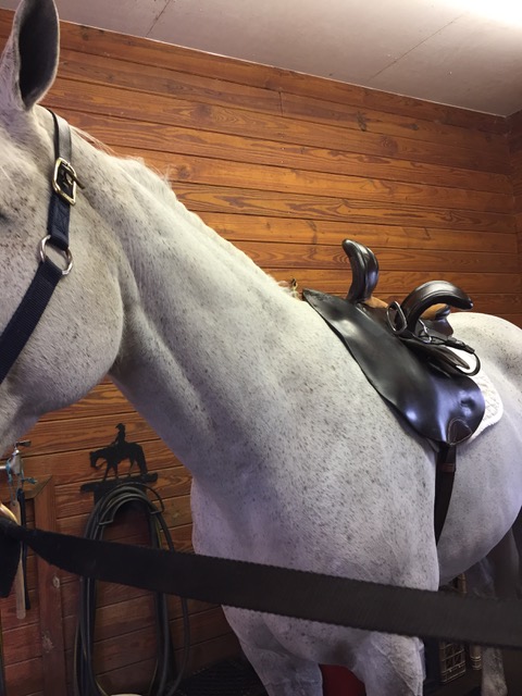 Ride Like an Austen Heroine: Sidesaddle – Jane Austen in Vermont